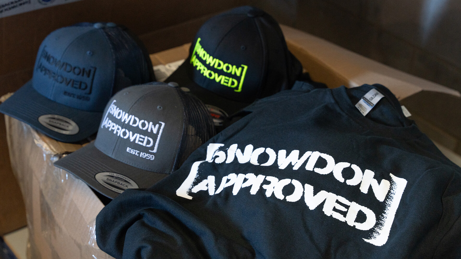 Accueil - Snowdon